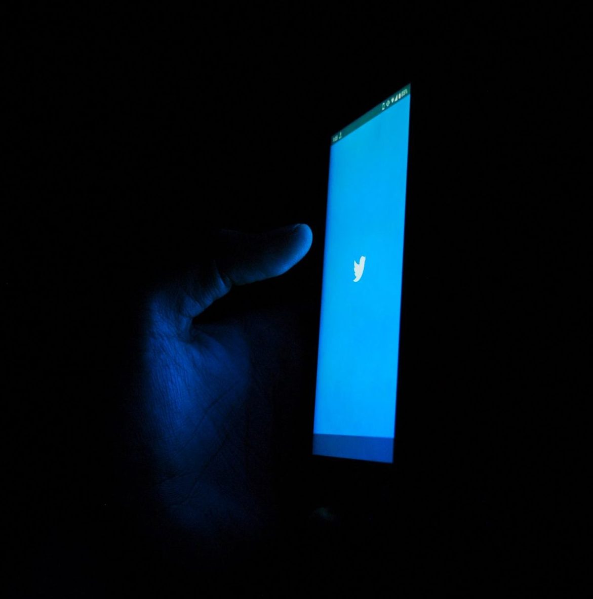 It Is Time To Say Goodbye To Our Favourite Twitter Bot Accounts